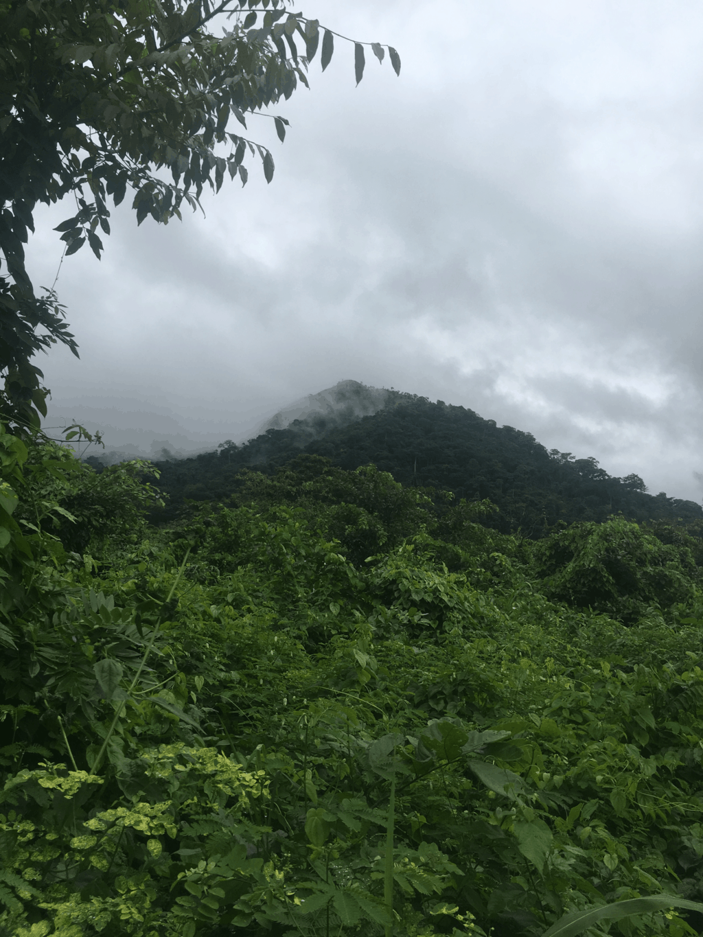 The Ultimate Guide To Climbing Mount Afadjato In Ghana || The Cheetah Buzz