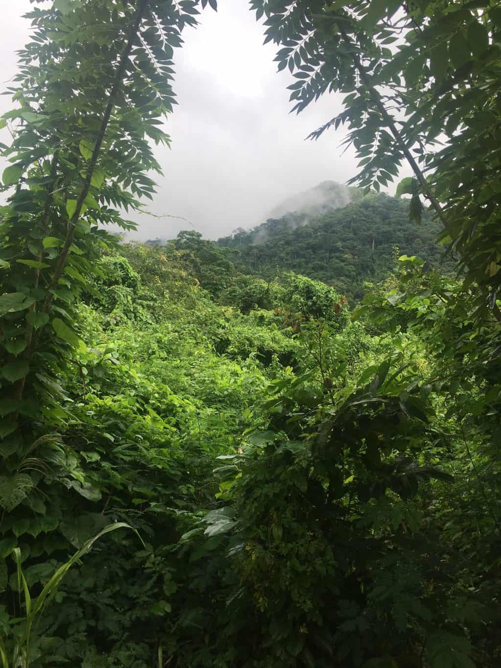 The Ultimate Guide To Climbing Mount Afadjato In Ghana || The Cheetah Buzz